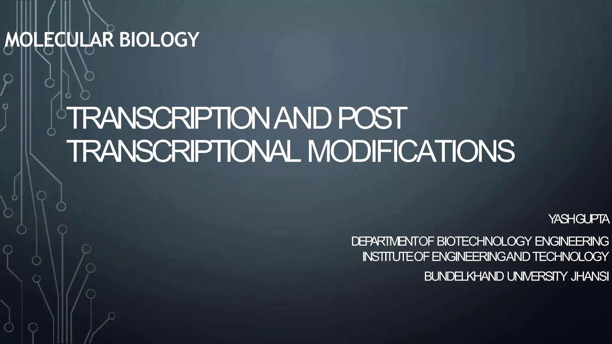 Transcription And Post Transcriptional Modifications Ppt