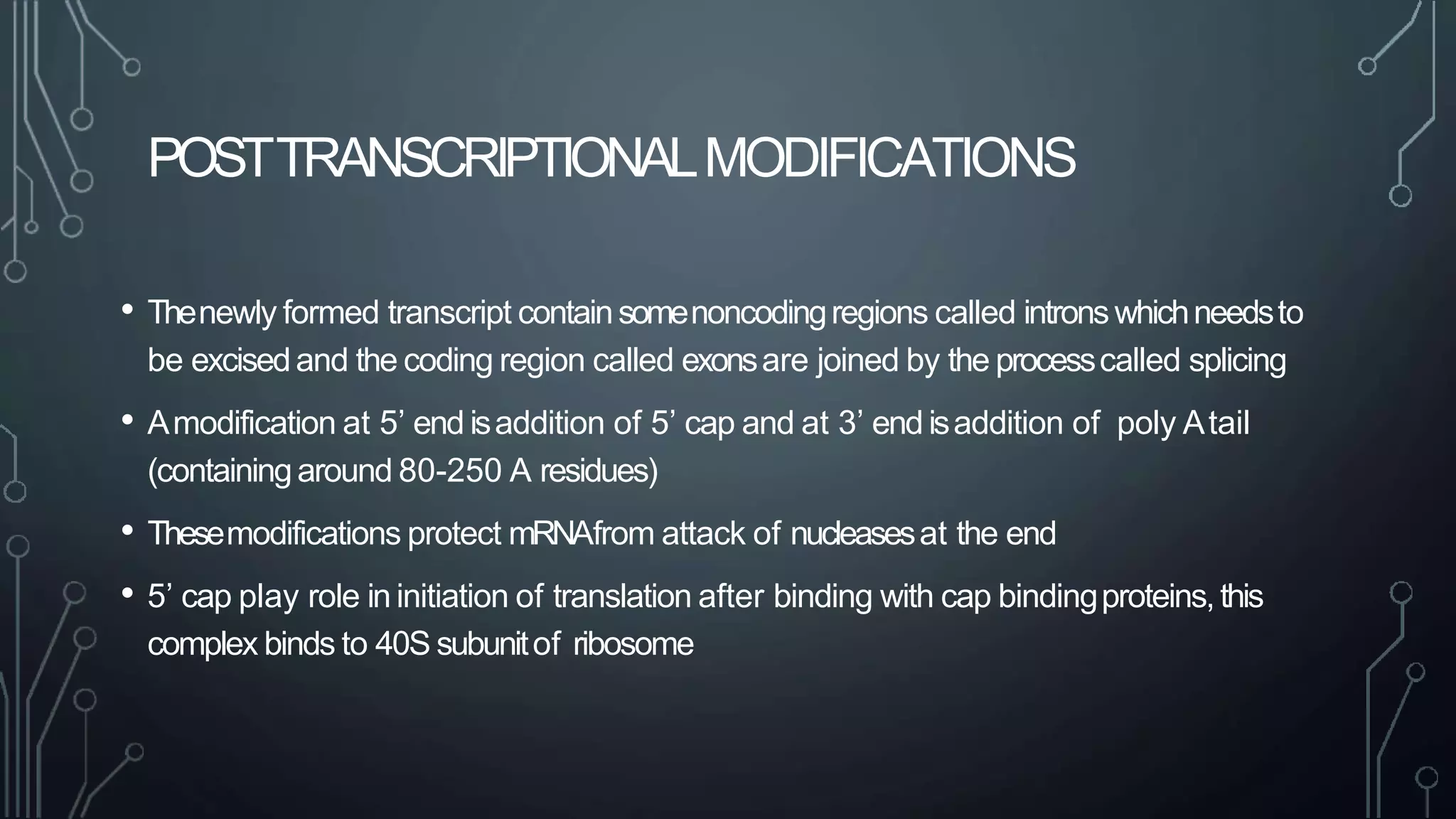 Transcription and post transcriptional modifications | PPT