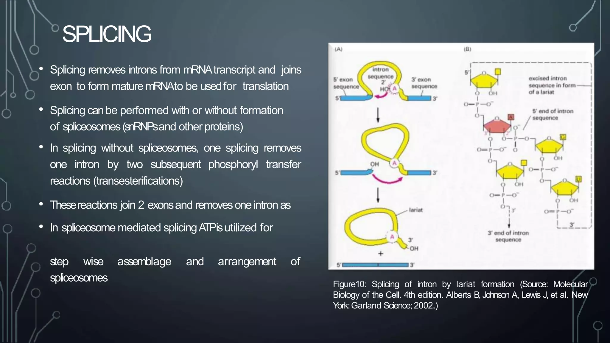 Transcription and post transcriptional modifications | PPTX