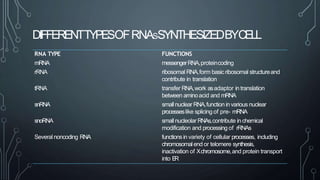 Transcription and post transcriptional modifications | PPT