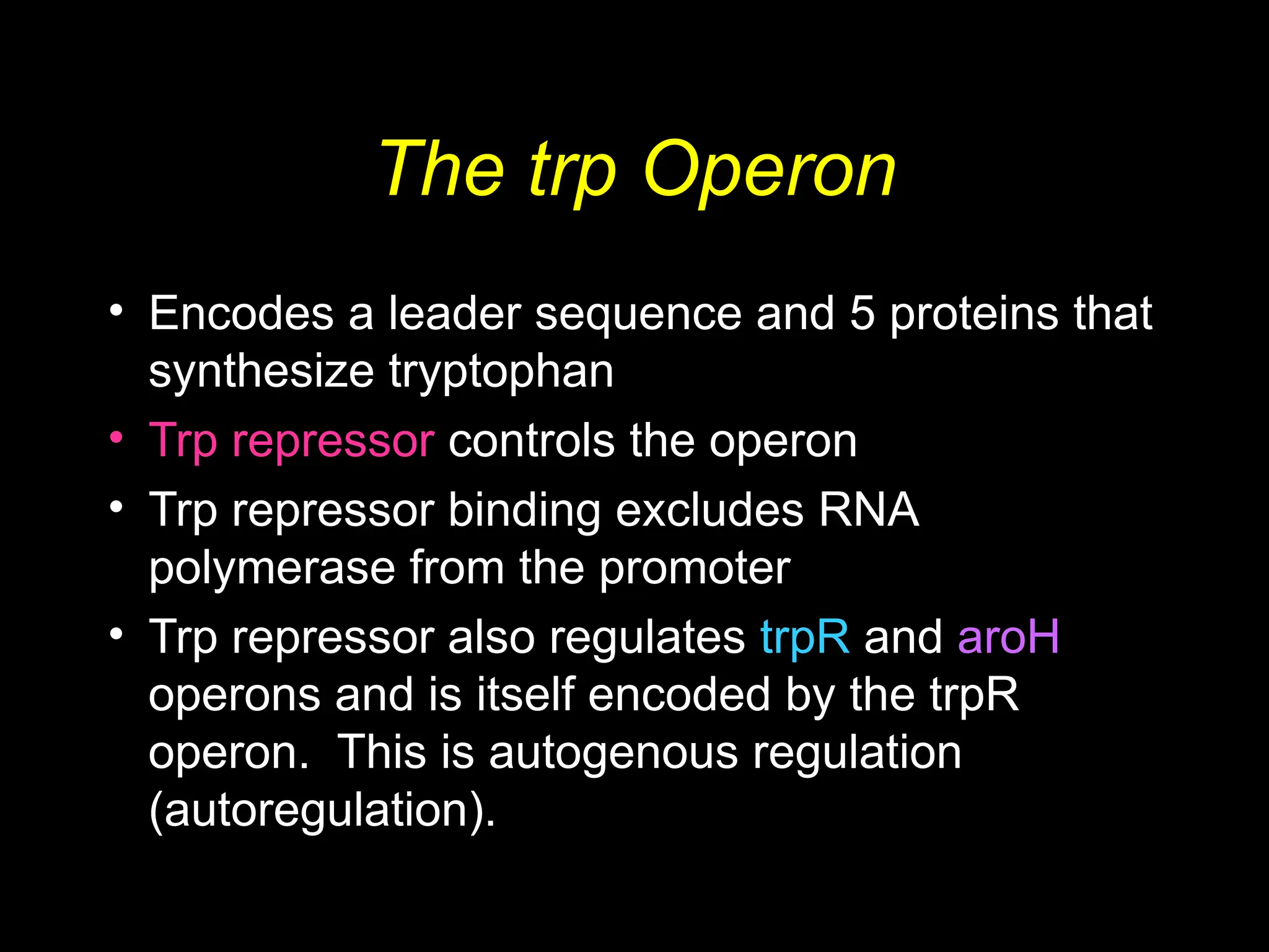 Transcription and regulation of gene expression.ppt