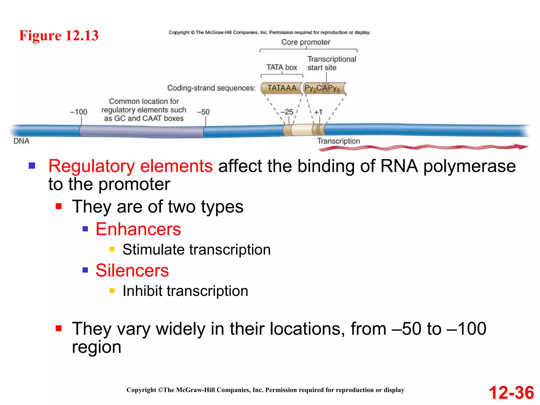 Transcription and splicing. | PPT