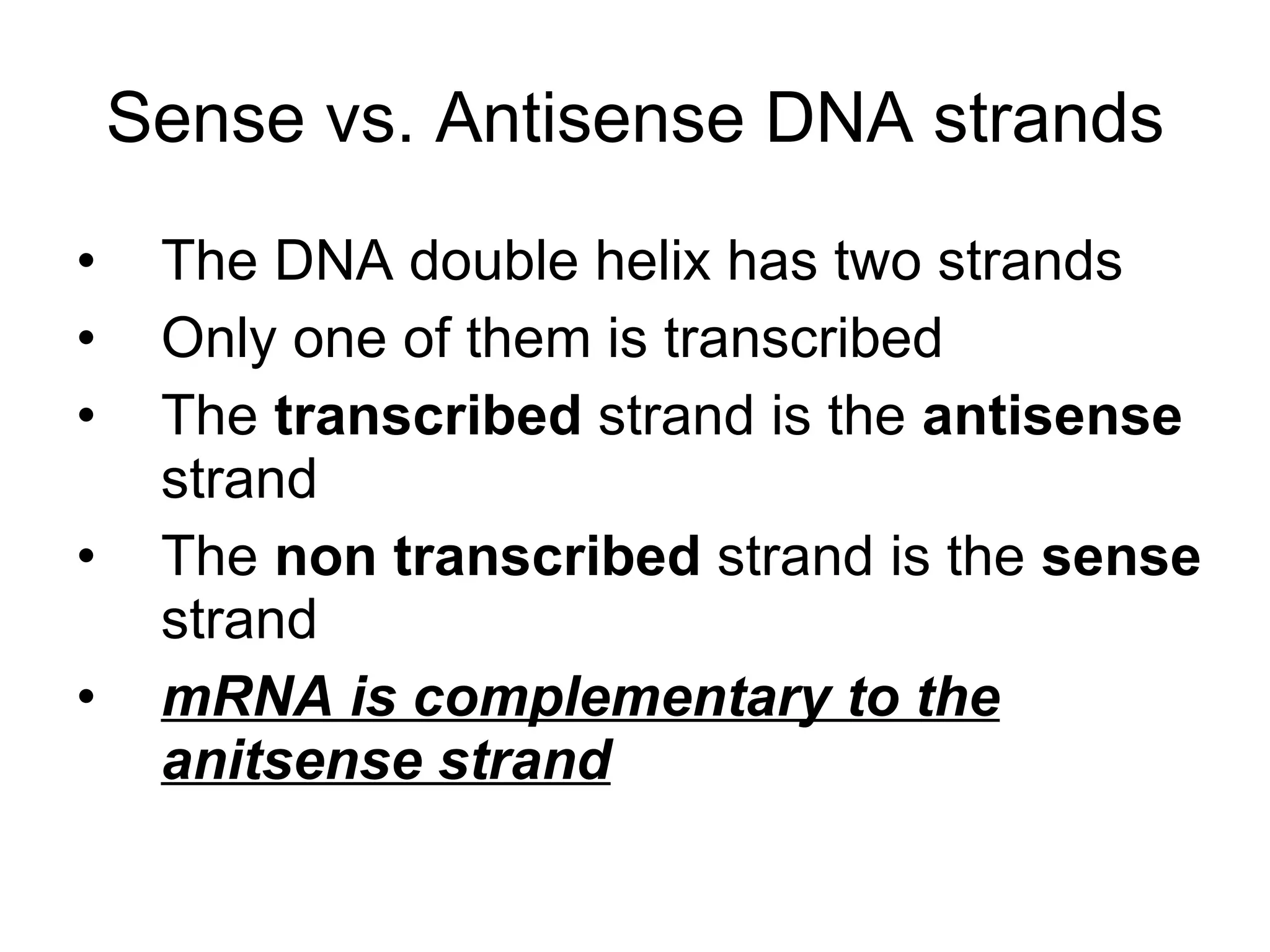 Transcription and Translation PowerPoint | PPT