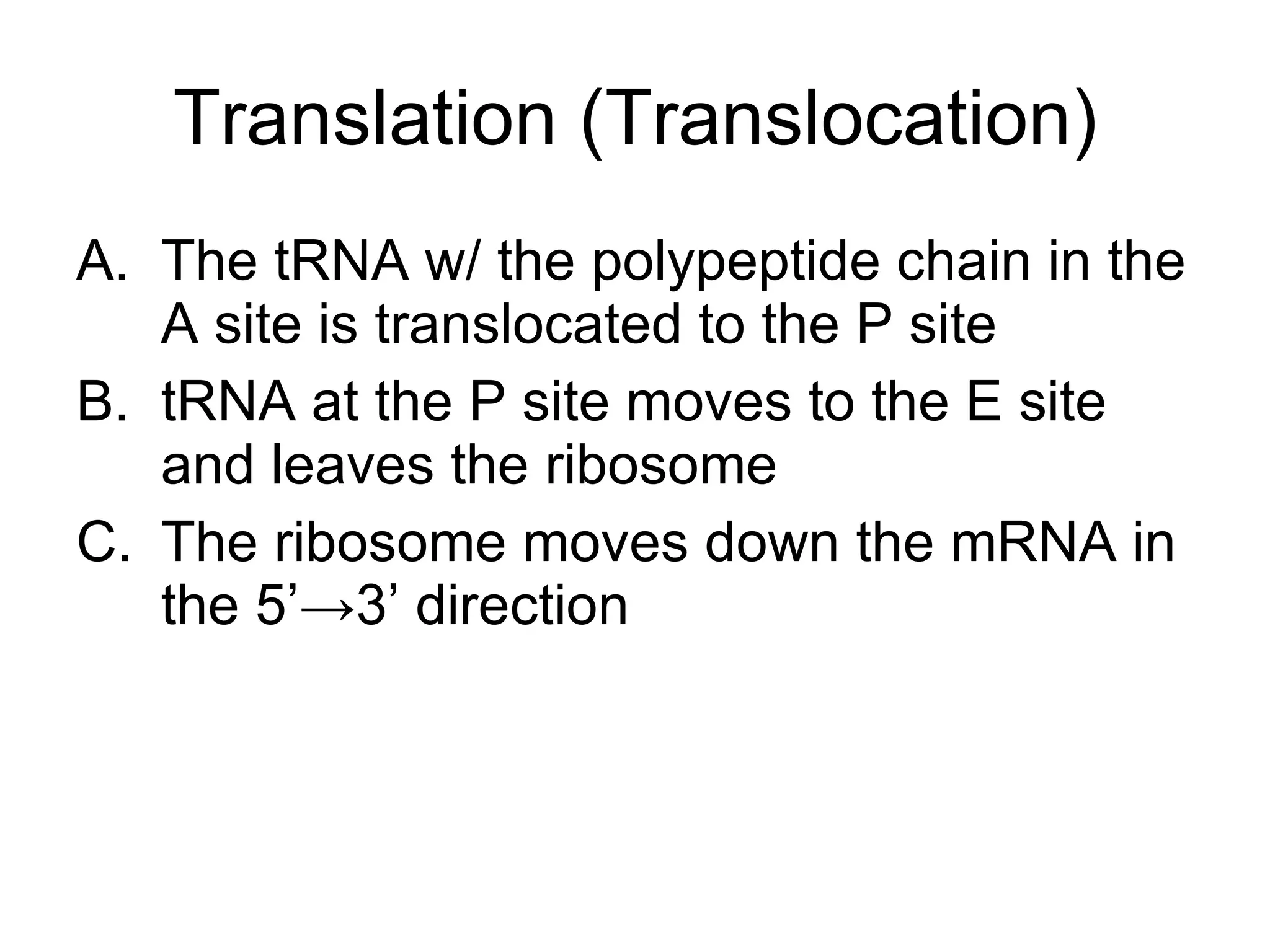 Transcription and Translation PowerPoint | PPT