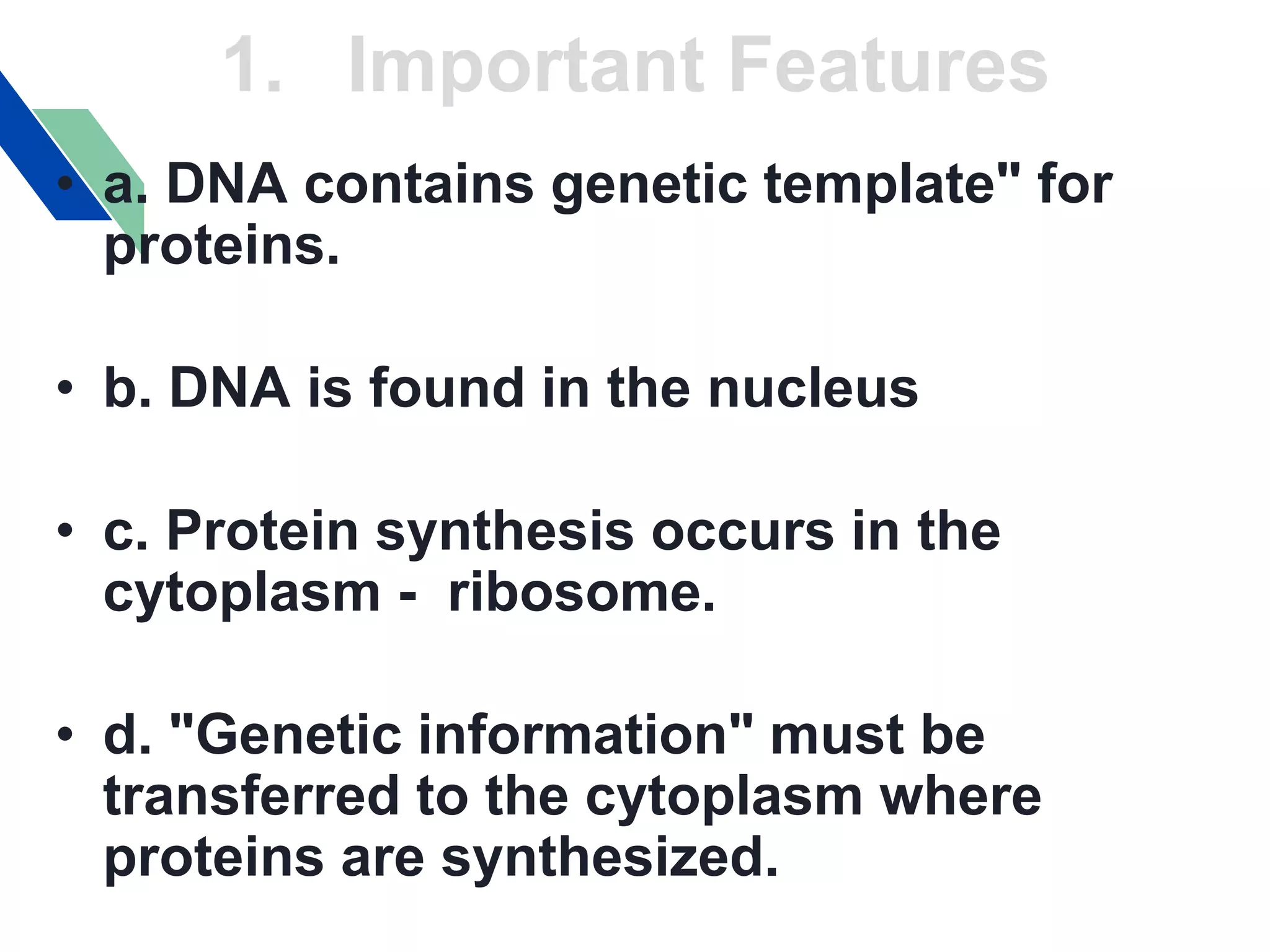 Transcription and Translation _ Biology | PPTX