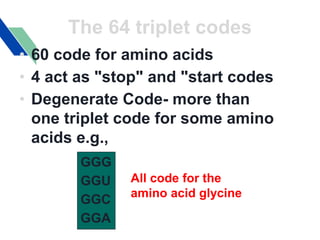 Transcription and Translation _ Biology | PPTX