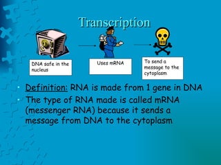 Transcription and translation08 | PPT