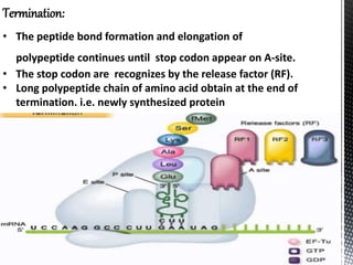 Transcription and translation in prokaryotes | PPTX