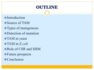 Transcription associated mutation | PPTX | Chemistry | Science