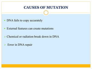 Transcription associated mutation | PPTX | Chemistry | Science