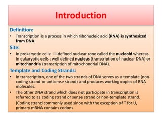 Transcription Definition