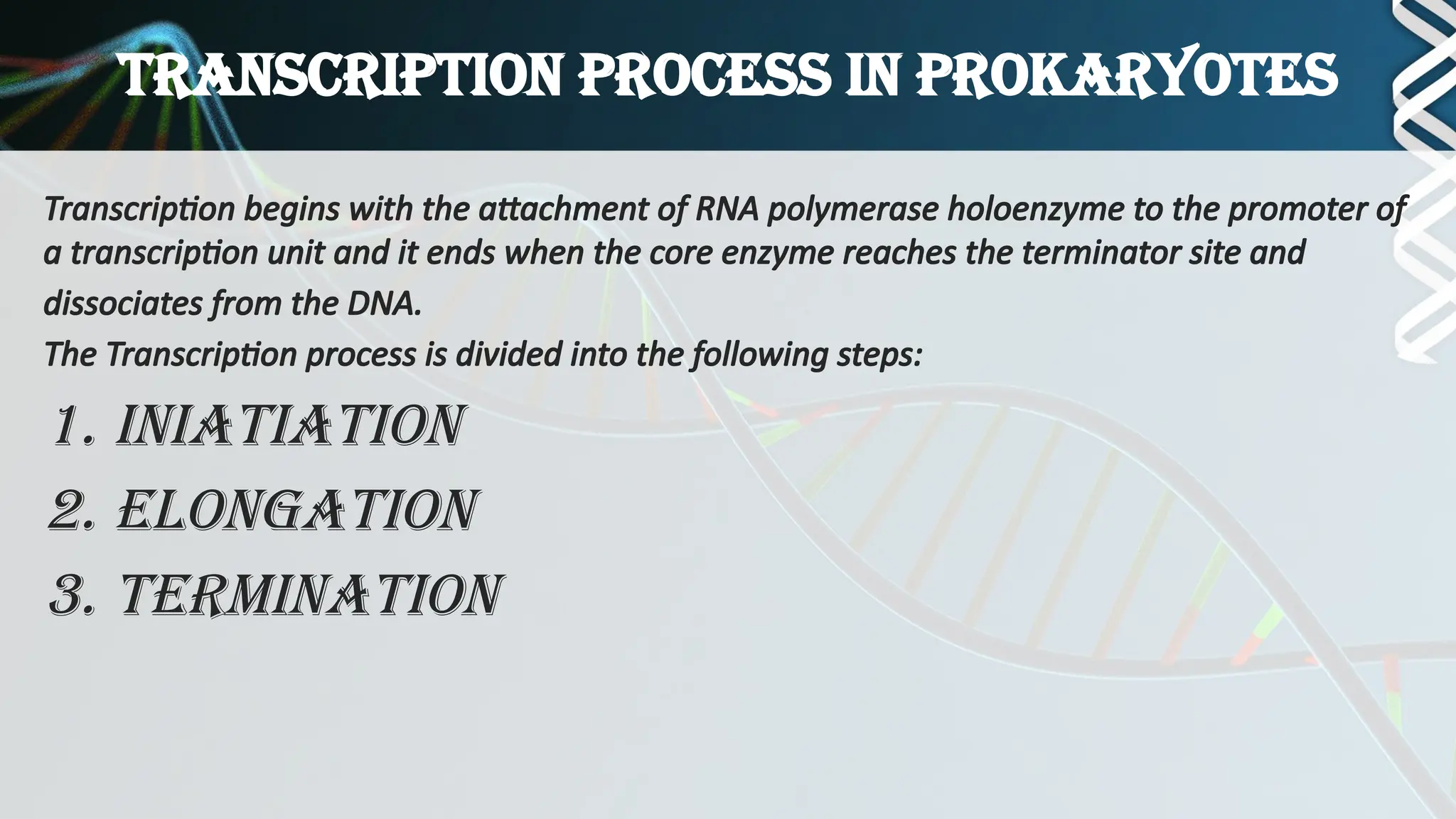 transcription biochemistry.pptx prokaryotes and eukaryotes | PPTX