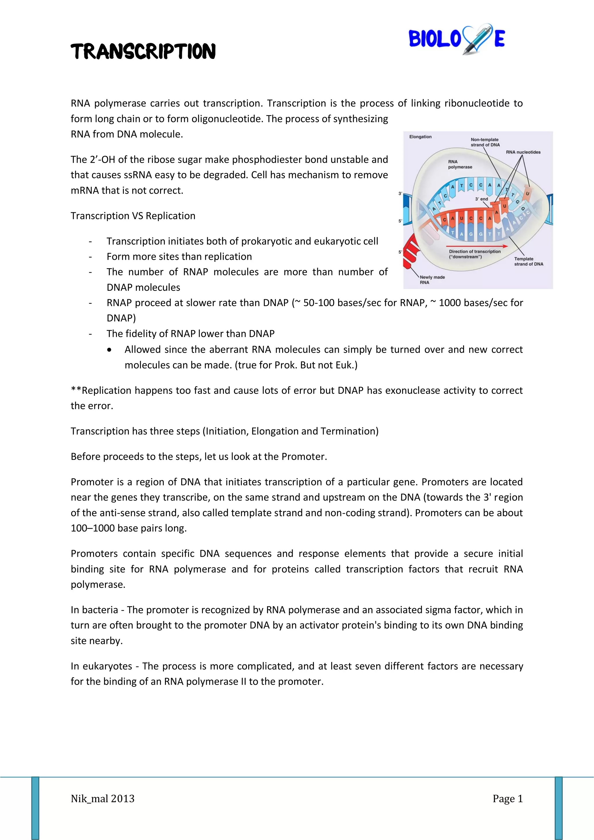 Transcription BIOLOVE ed. 1 | PDF