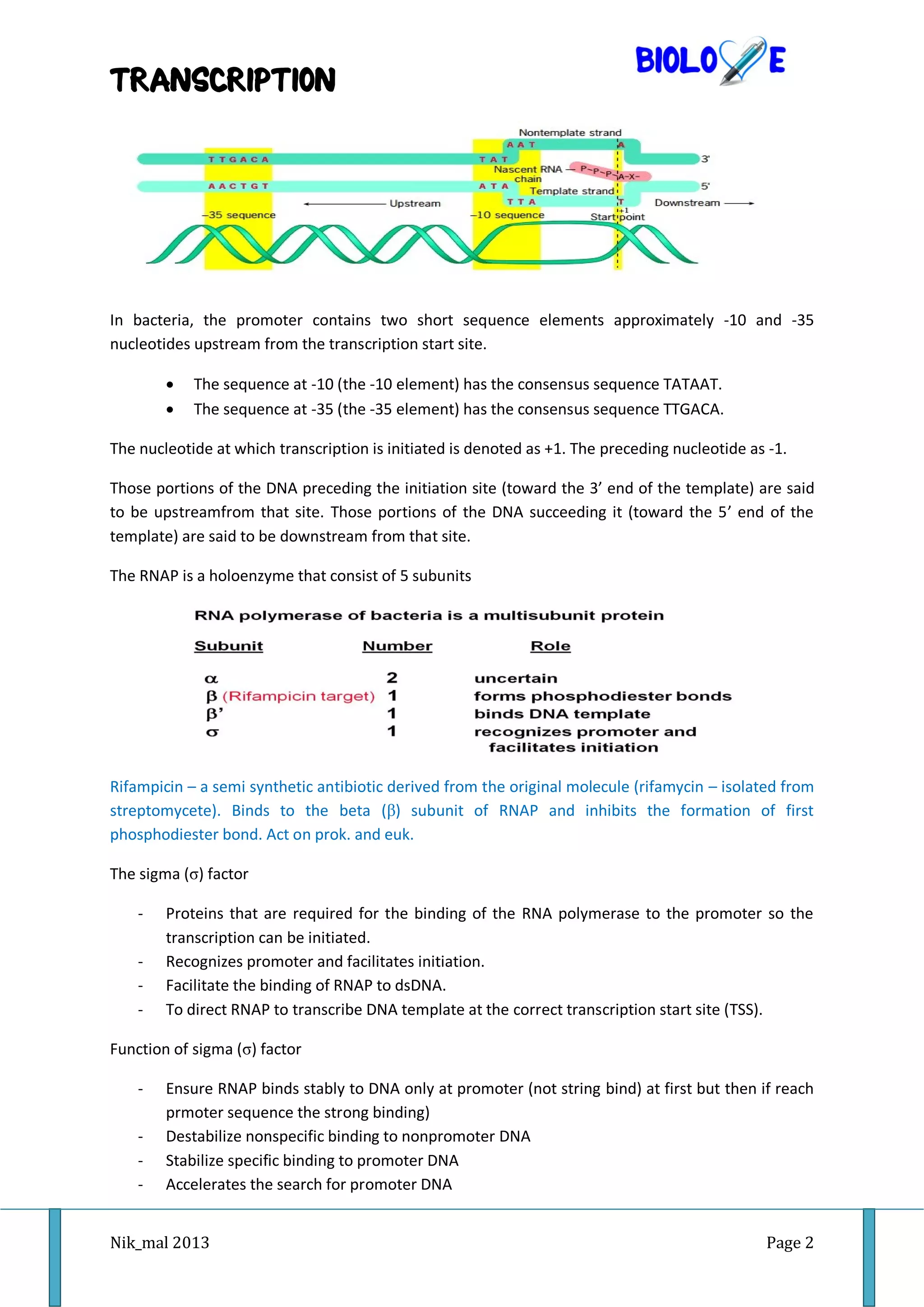 Transcription BIOLOVE ed. 1 | PDF