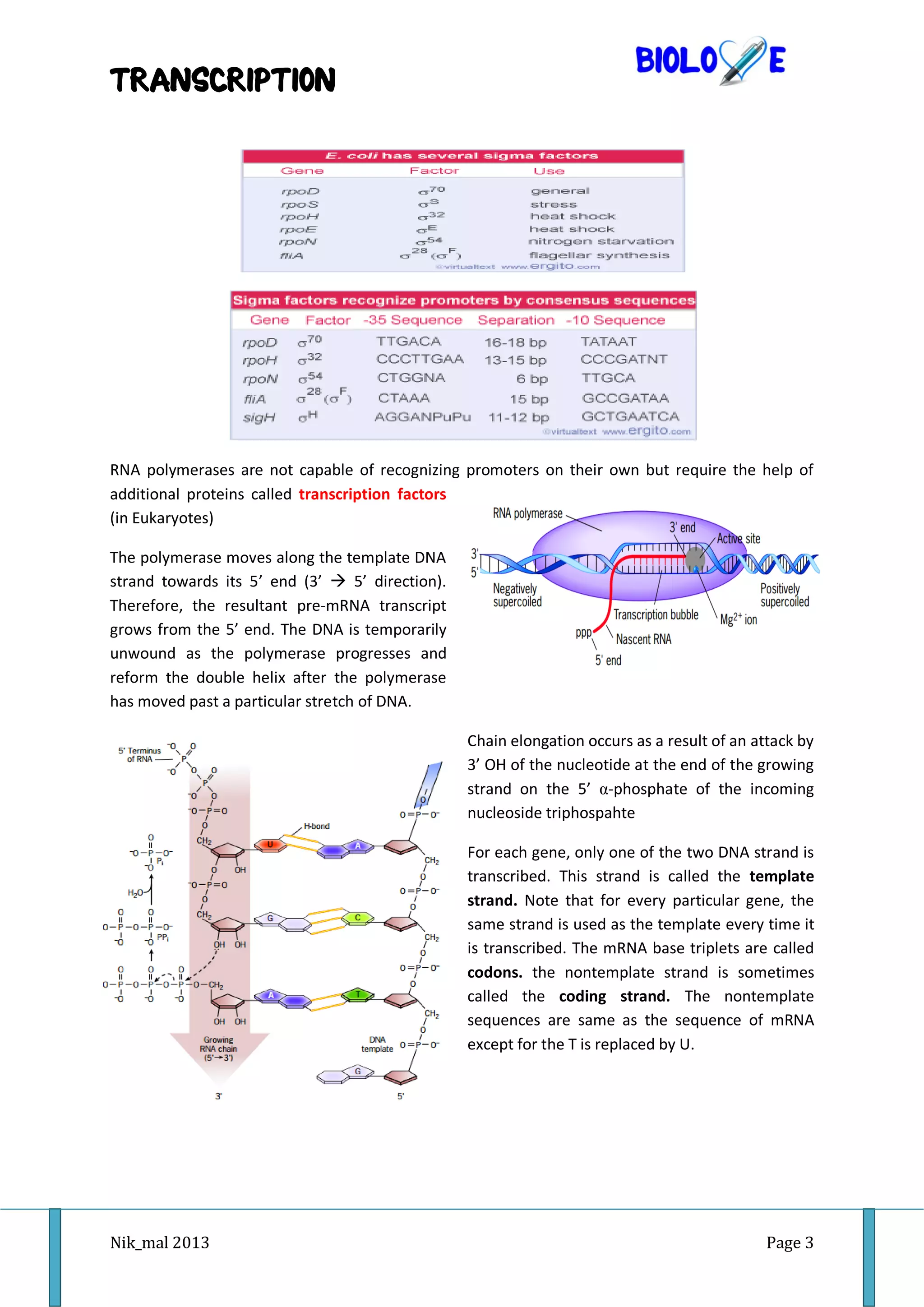 Transcription BIOLOVE ed. 1 | PDF