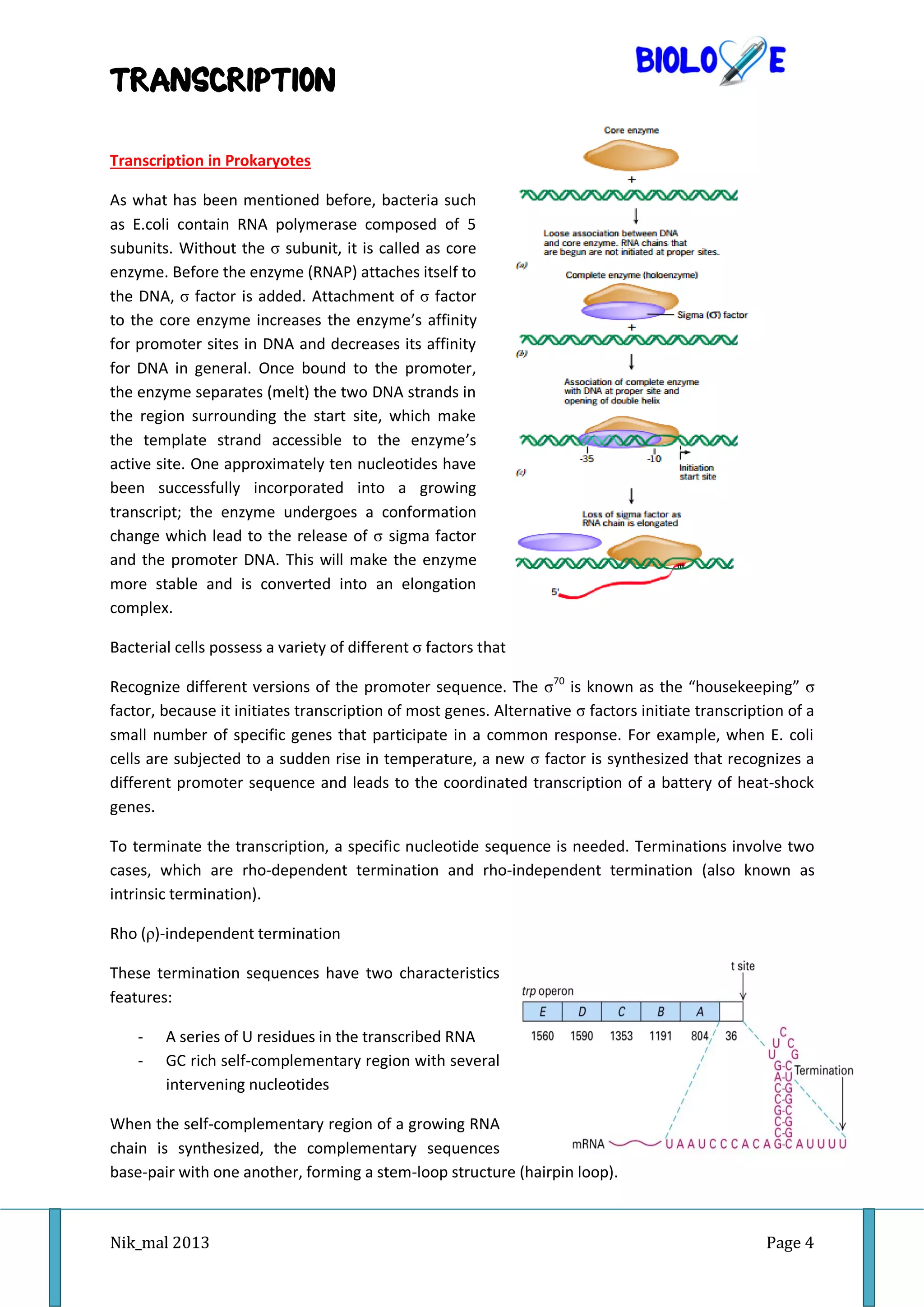 Transcription BIOLOVE ed. 1 | PDF
