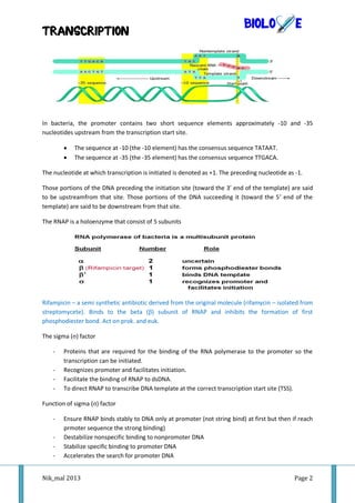 Transcription BIOLOVE ed. 1 | PDF