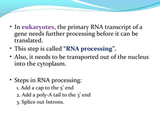 Transcription | PPT