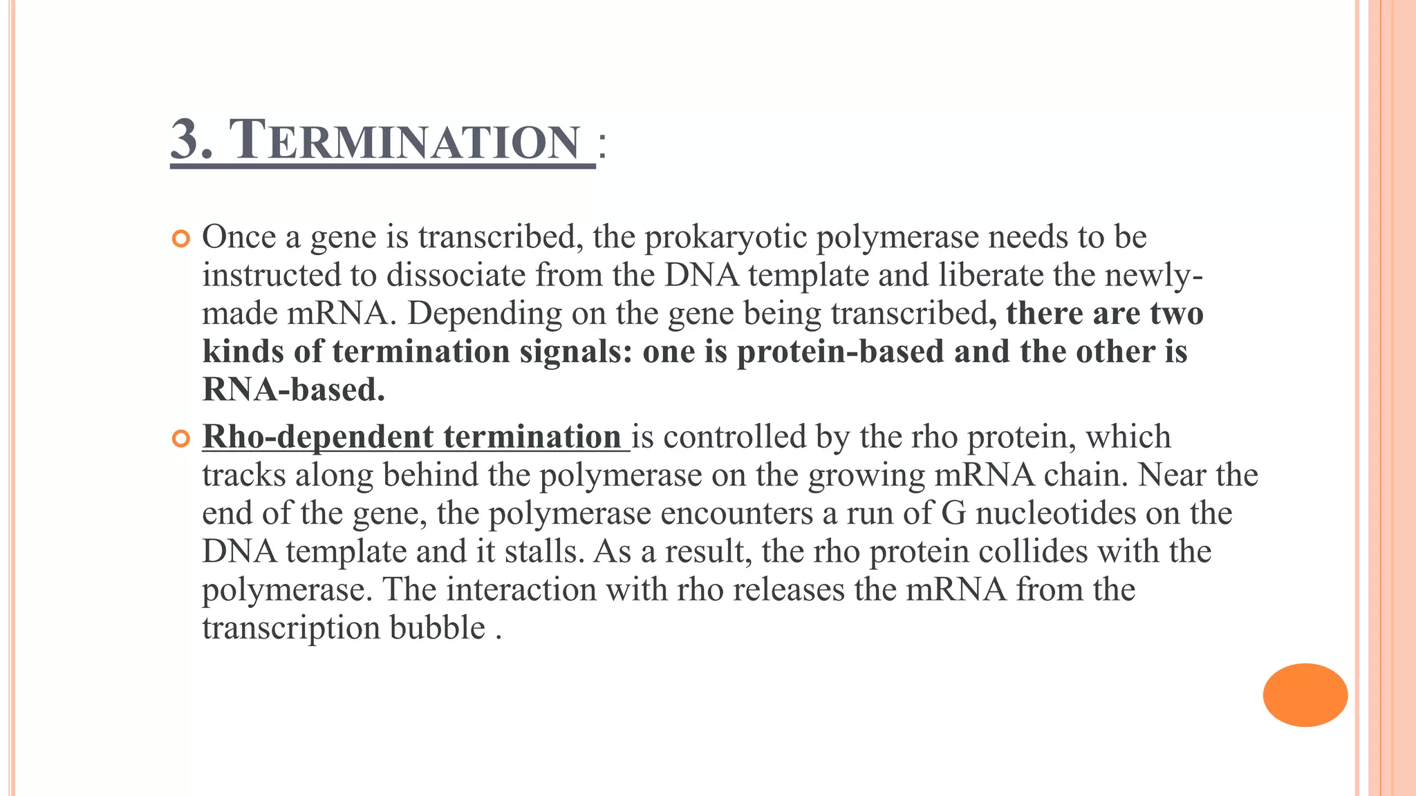 Transcription (Eukaryotic and prokaryotic ) | PPTX