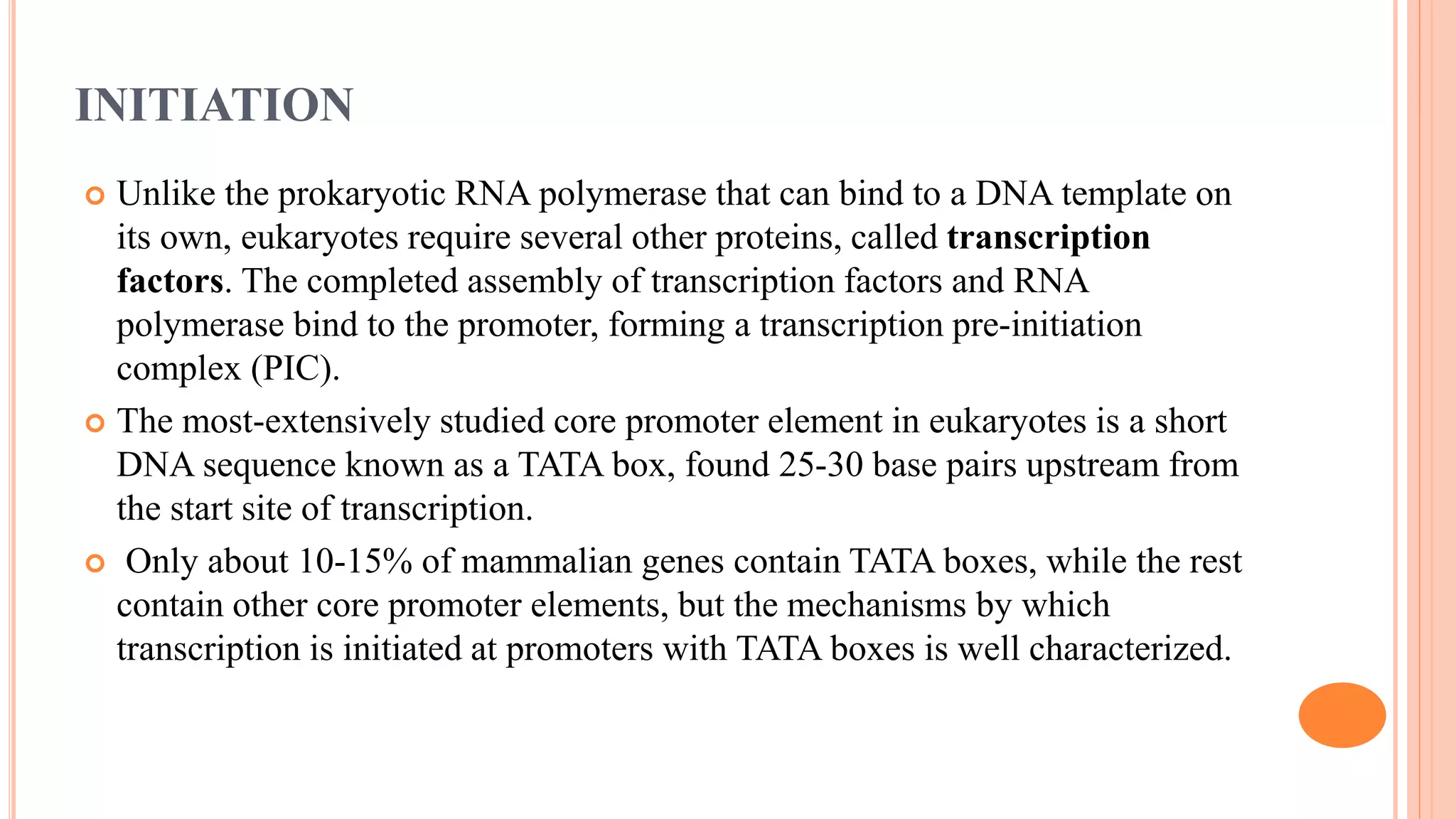 Transcription (Eukaryotic and prokaryotic ) | PPTX