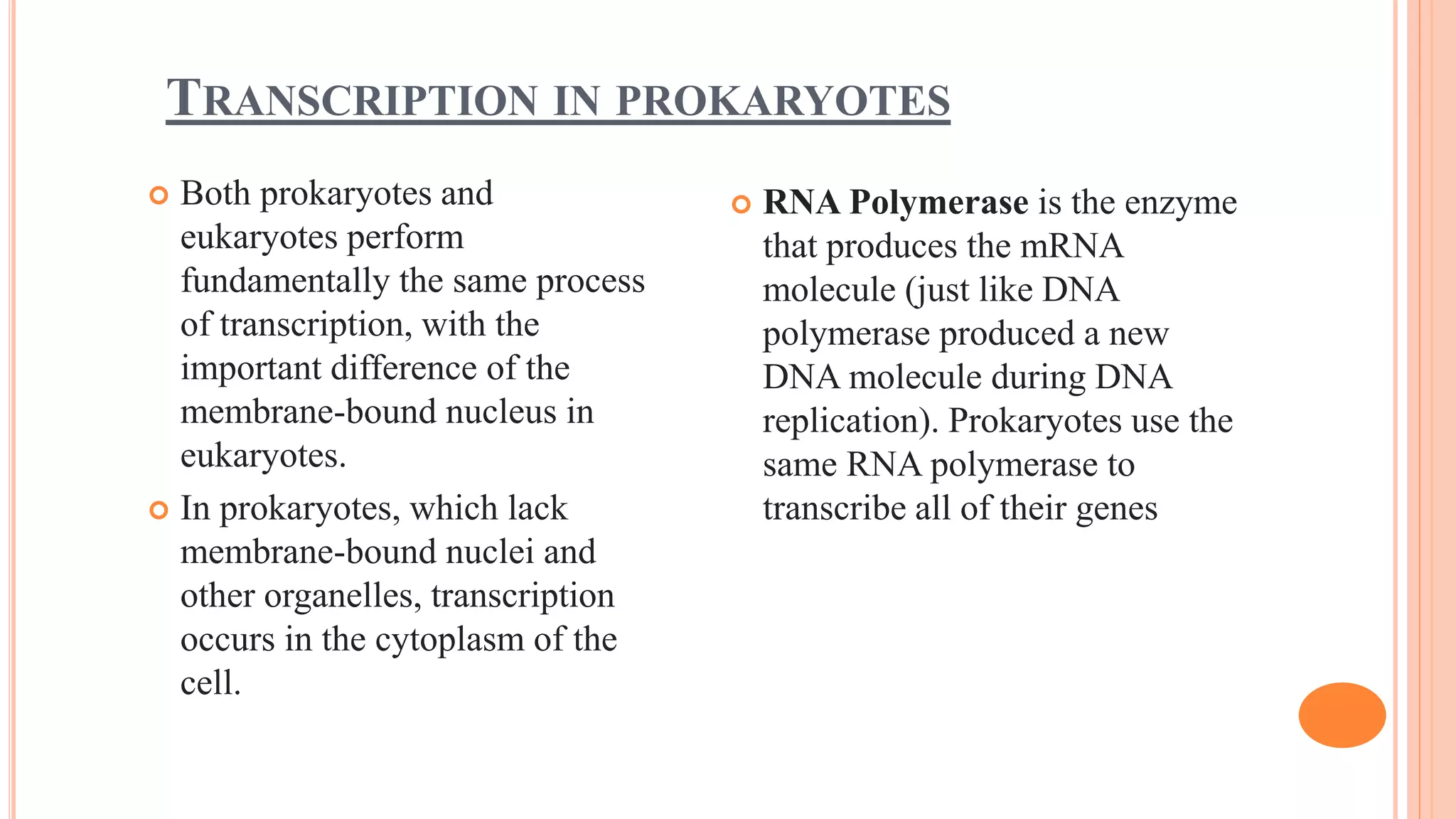 Transcription (Eukaryotic and prokaryotic ) | PPTX