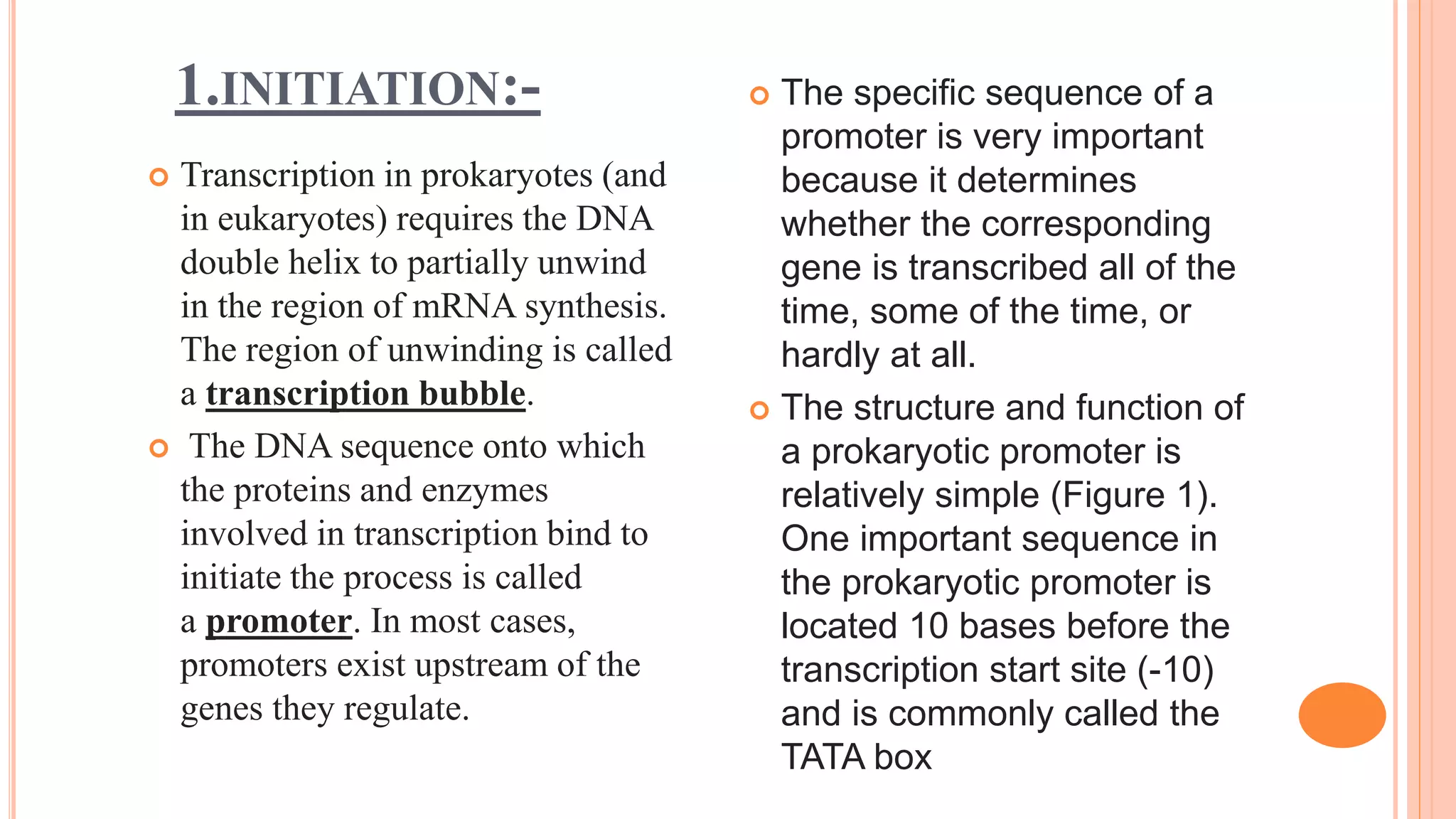Transcription (Eukaryotic and prokaryotic ) | PPTX