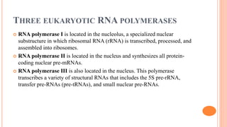 Transcription (Eukaryotic and prokaryotic ) | PPTX