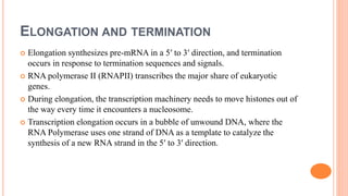 Transcription (Eukaryotic and prokaryotic ) | PPTX