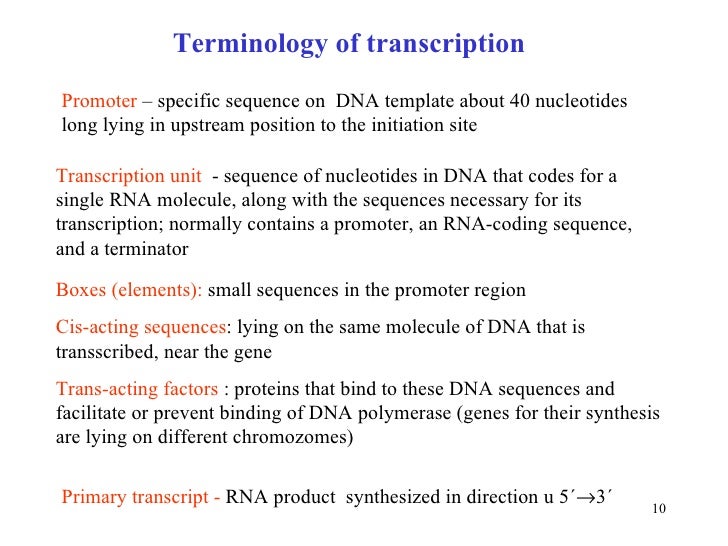 Transcription dna2011