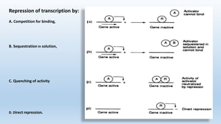 transcriptionfactor-180830142612345.pptx