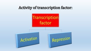 transcriptionfactor-180830142612345.pptx