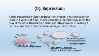 transcriptionfactor-180830142612345.pptx