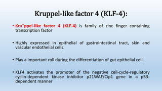Transcription factor | PPTX