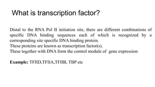 transcription factor.pptx | Chemistry | Science