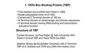 transcription factor.pptx | Chemistry | Science