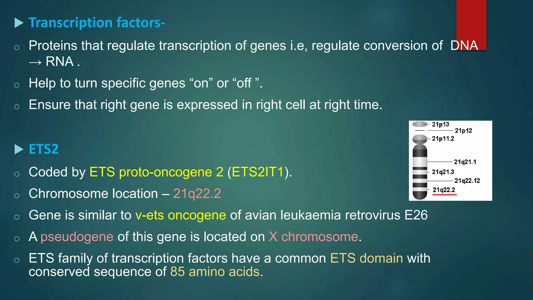 Transcription factor ets2 | PPTX