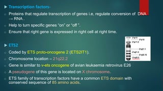 Transcription factor ets2 | PPTX