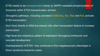 Transcription factor ets2 | PPTX