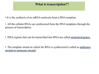 Transcription Factors