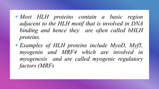 Transcription Factors and proteins | PPTX