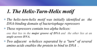Transcription Factors and proteins | PPTX