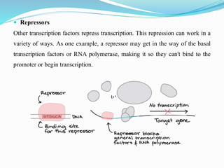 Transcription factors and machinery | PPTX
