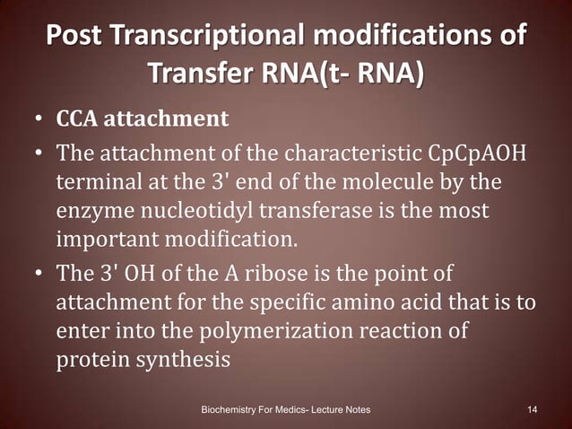Transcription II- Post transcriptional modifications and inhibitors of Transcription | PPT ...