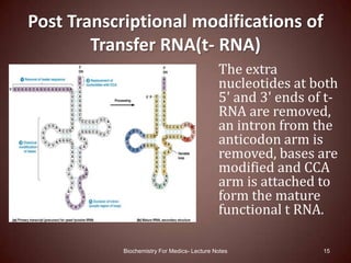 Transcription II- Post transcriptional modifications and inhibitors of ...