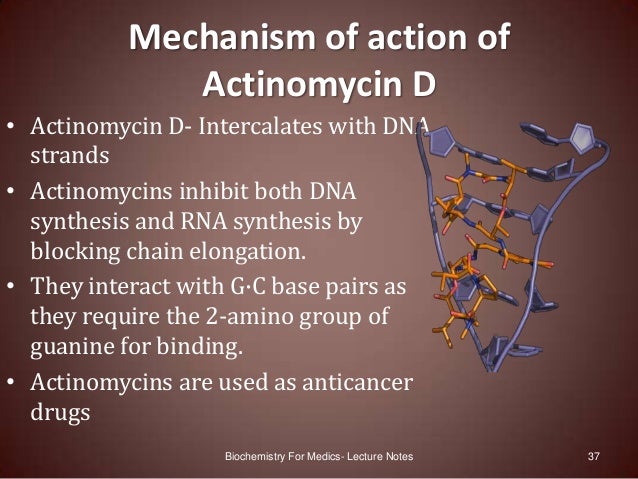 Transcription II- Post transcriptional modifications and inhibitors o…