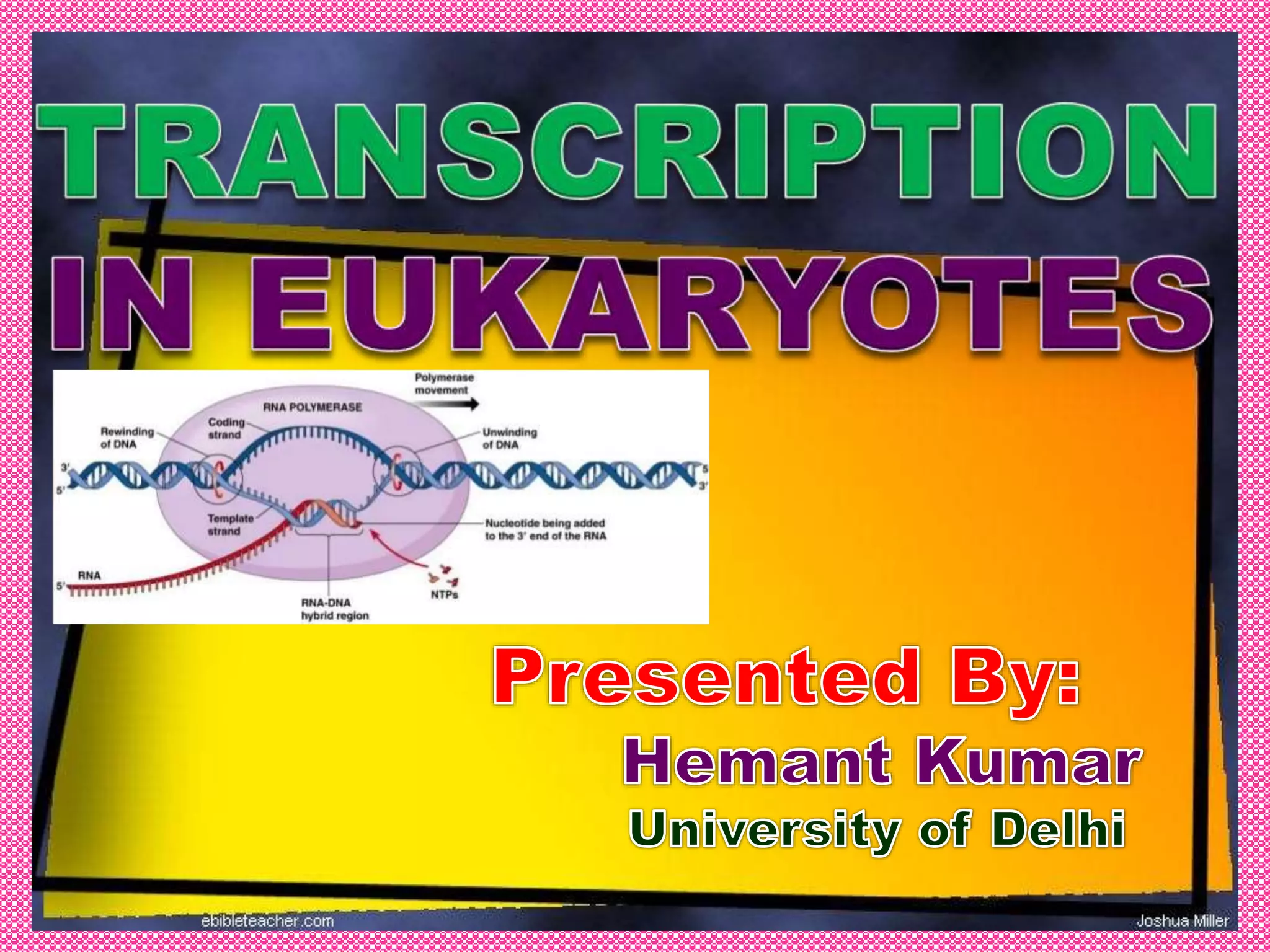 Transcription in eukaryotes | PPTX