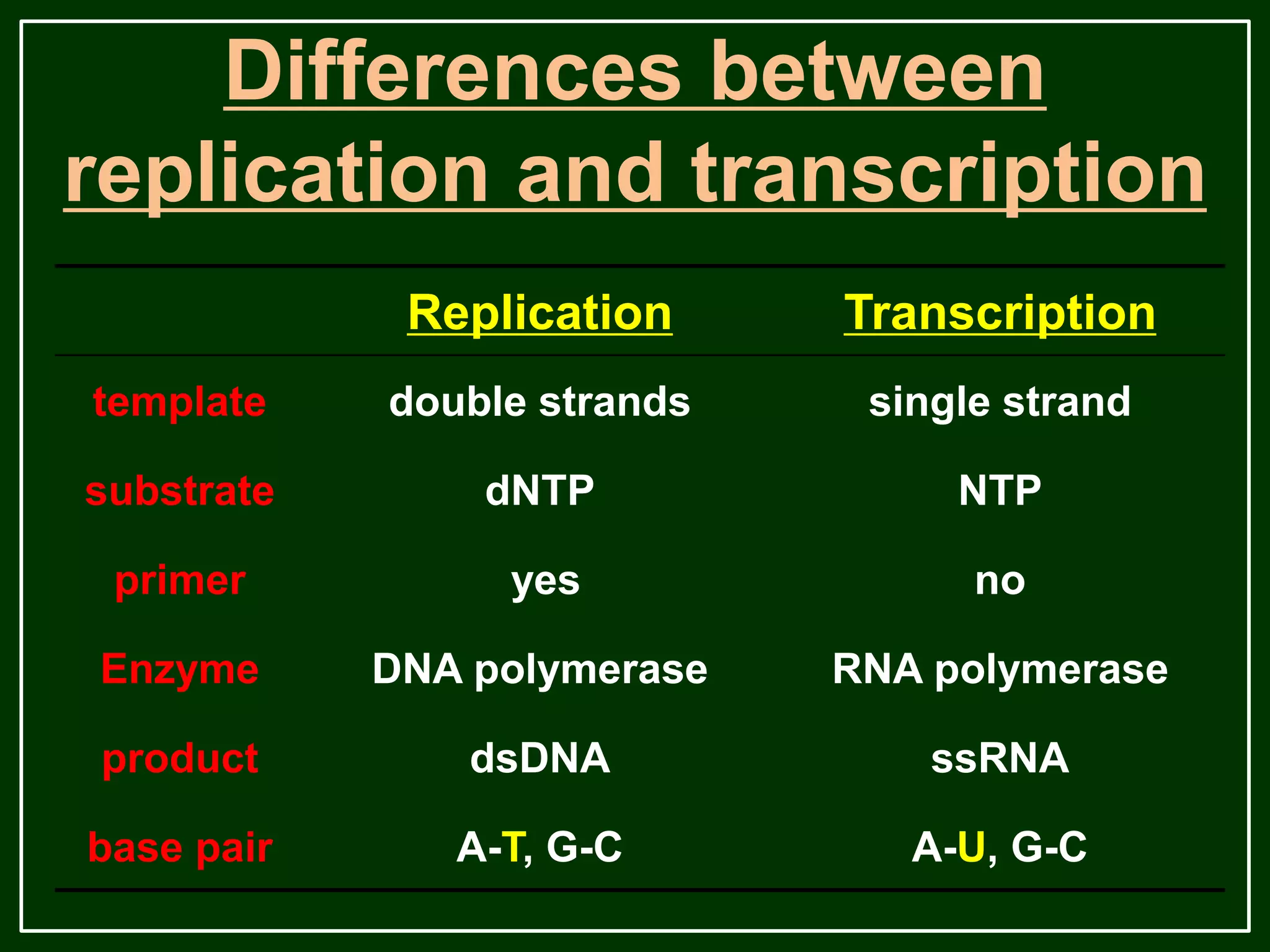 Transcription in eukaryotes | PPTX