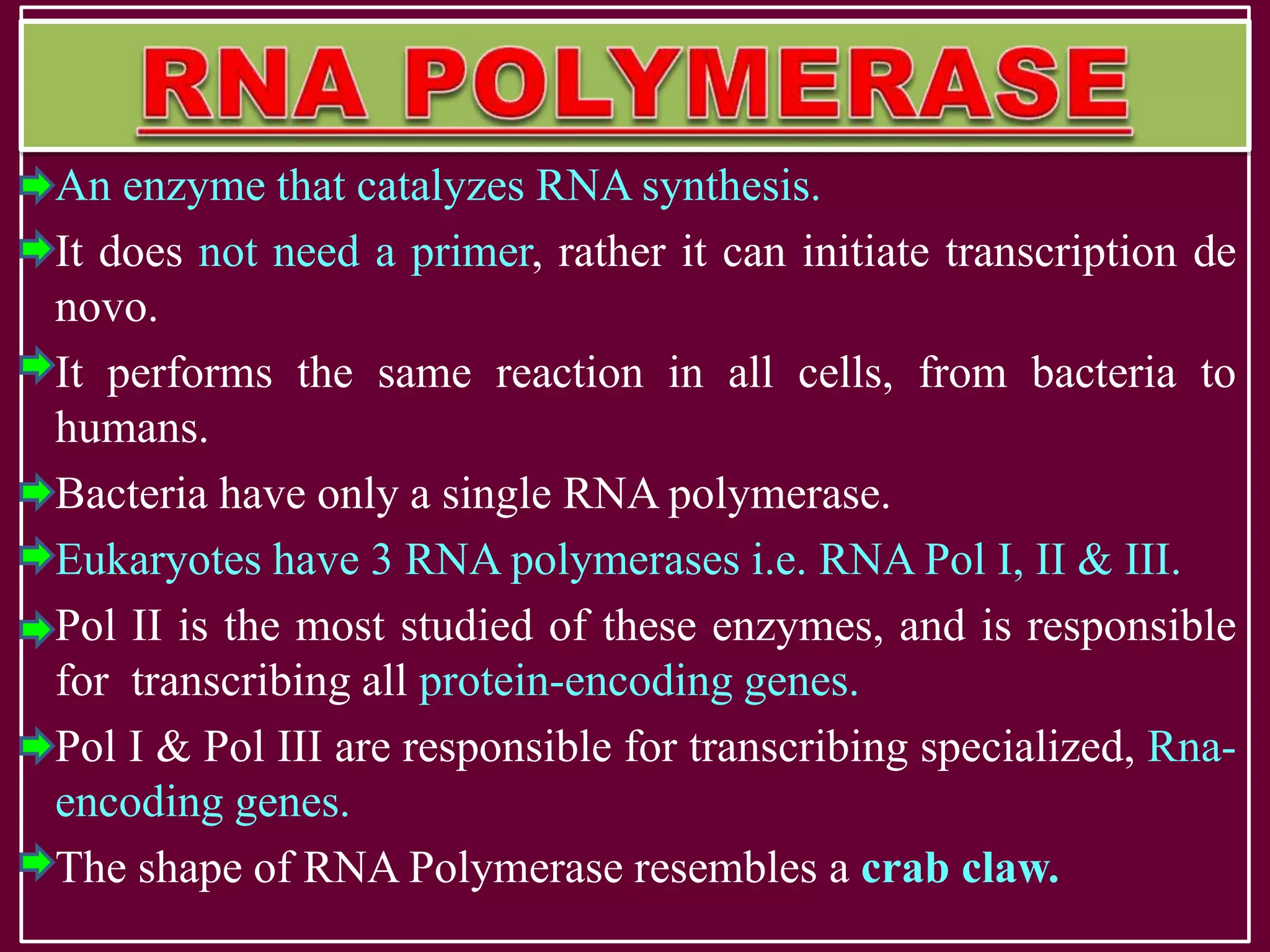 Transcription in eukaryotes | PPTX