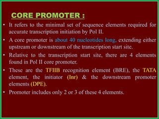 Transcription in eukaryotes | PPTX