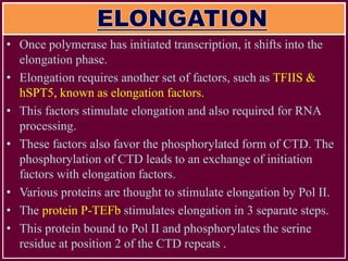 Transcription in eukaryotes | PPTX